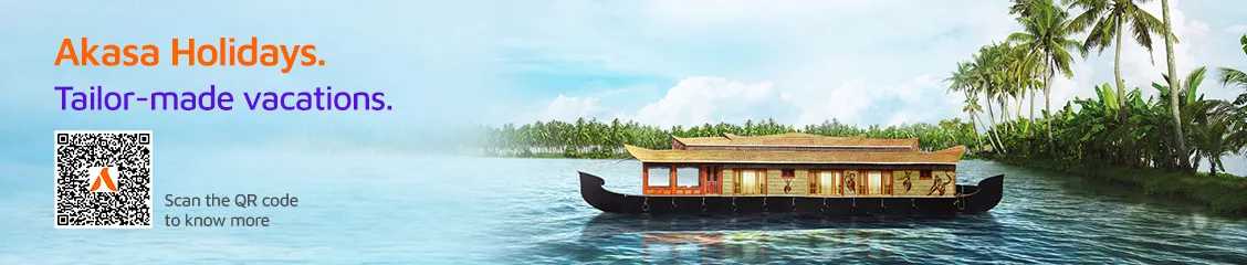 Successful Web Check-In | Akasa Air